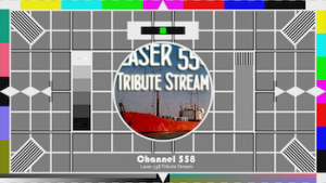 A Radio Laser 558 revival | The SWLing Post