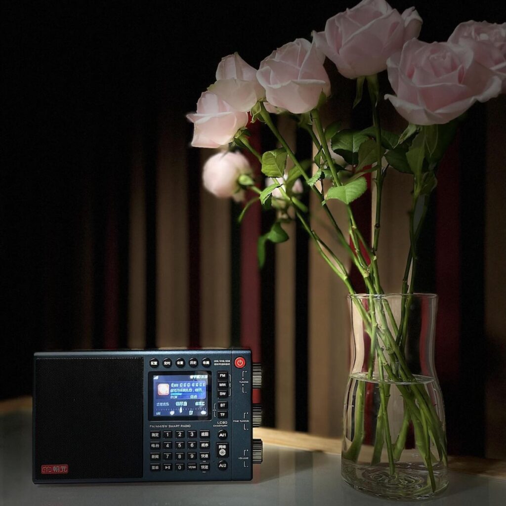 Michael compares the Choyong LC90 Export and Chinese Versions | The ...